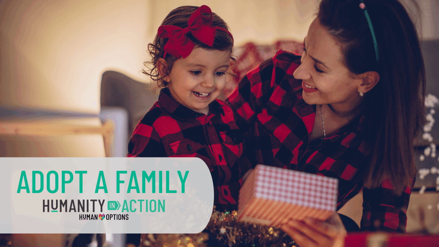 Adopt A Family 2025 - Human Options
